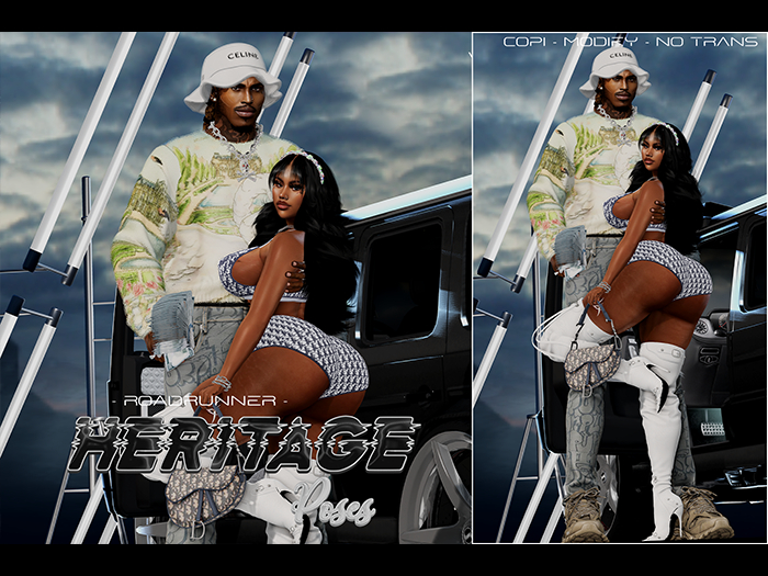 Second Life Marketplace Htg Roadrunner